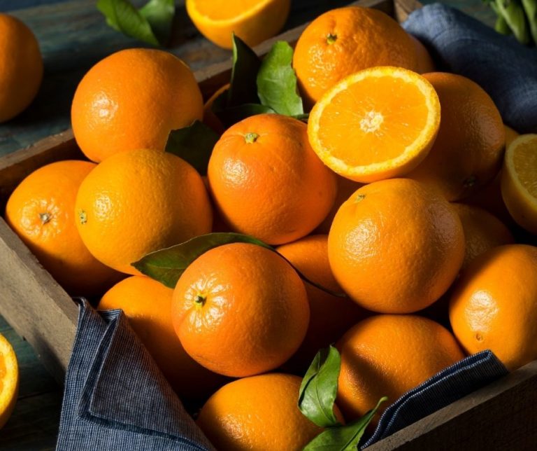 Dehydrated Oranges In Air Fryer - Fork To Spoon