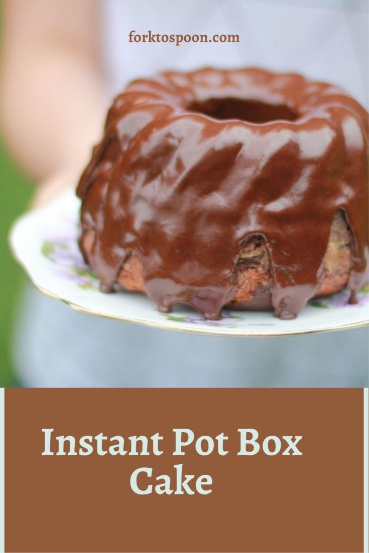 Instant Pot Box Cake - Fork To Spoon
