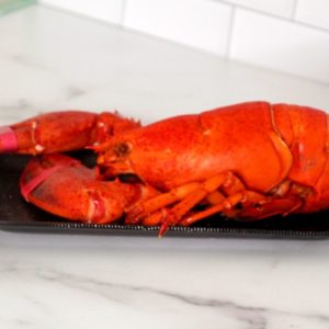 How To Reheat Lobster In the Air Fryer - Fork To Spoon