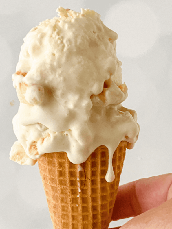 Ninja Creami Salted Caramel Ice Cream - Fork To Spoon