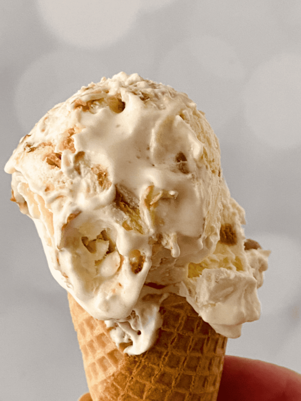 Ninja Creami Archives - Fork To Spoon