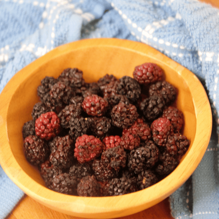 Air Fryer Dehydrating Blackberries - Fork To Spoon
