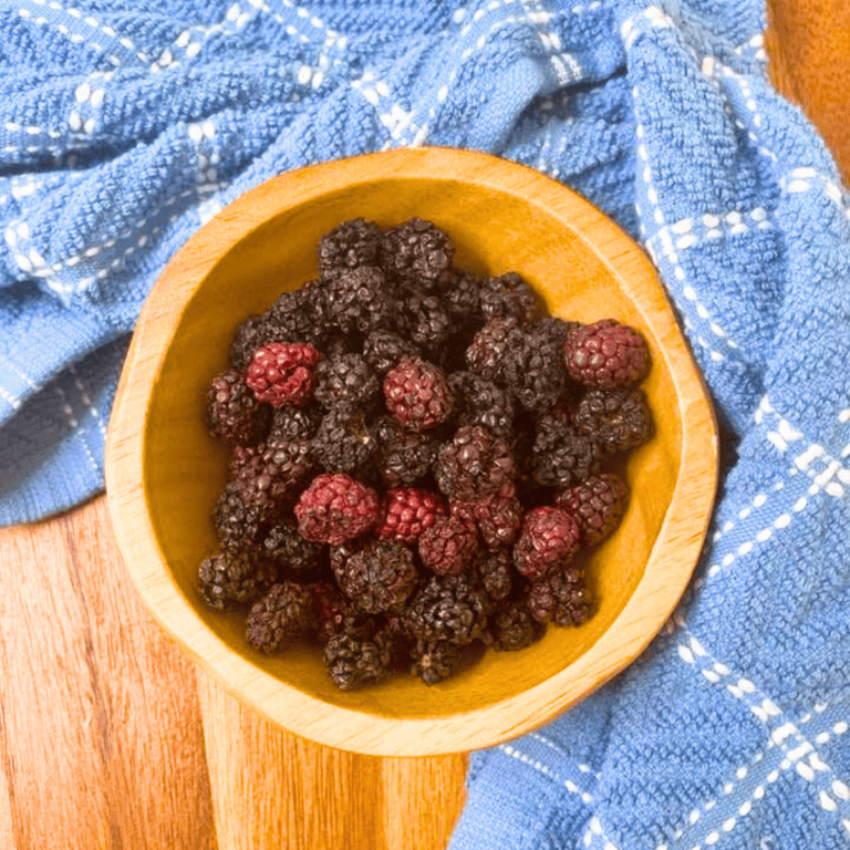 Air Fryer Dehydrating Blackberries - Fork To Spoon