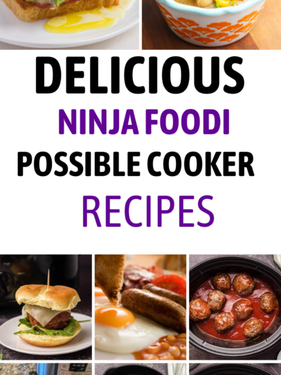 Ninja Foodi Possible Slow Cooker Pro Cranberry Meatballs - Fork To Spoon