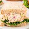 Cranberry Walnut Chicken Salad (Cape Cod Chicken Salad) - Fork To Spoon