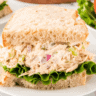 Cranberry Walnut Chicken Salad (Cape Cod Chicken Salad) - Fork To Spoon
