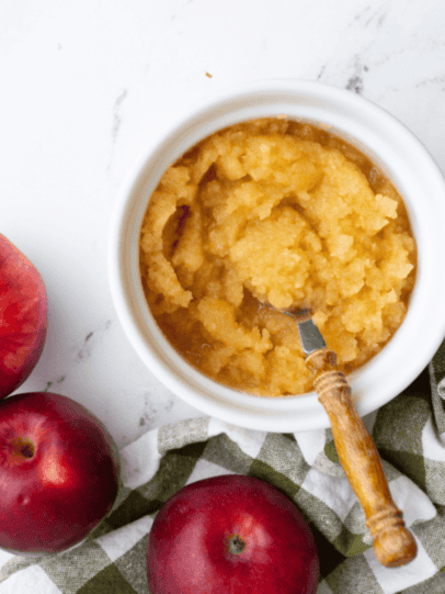 Dehydrate Apples in Air Fryer - Fork To Spoon