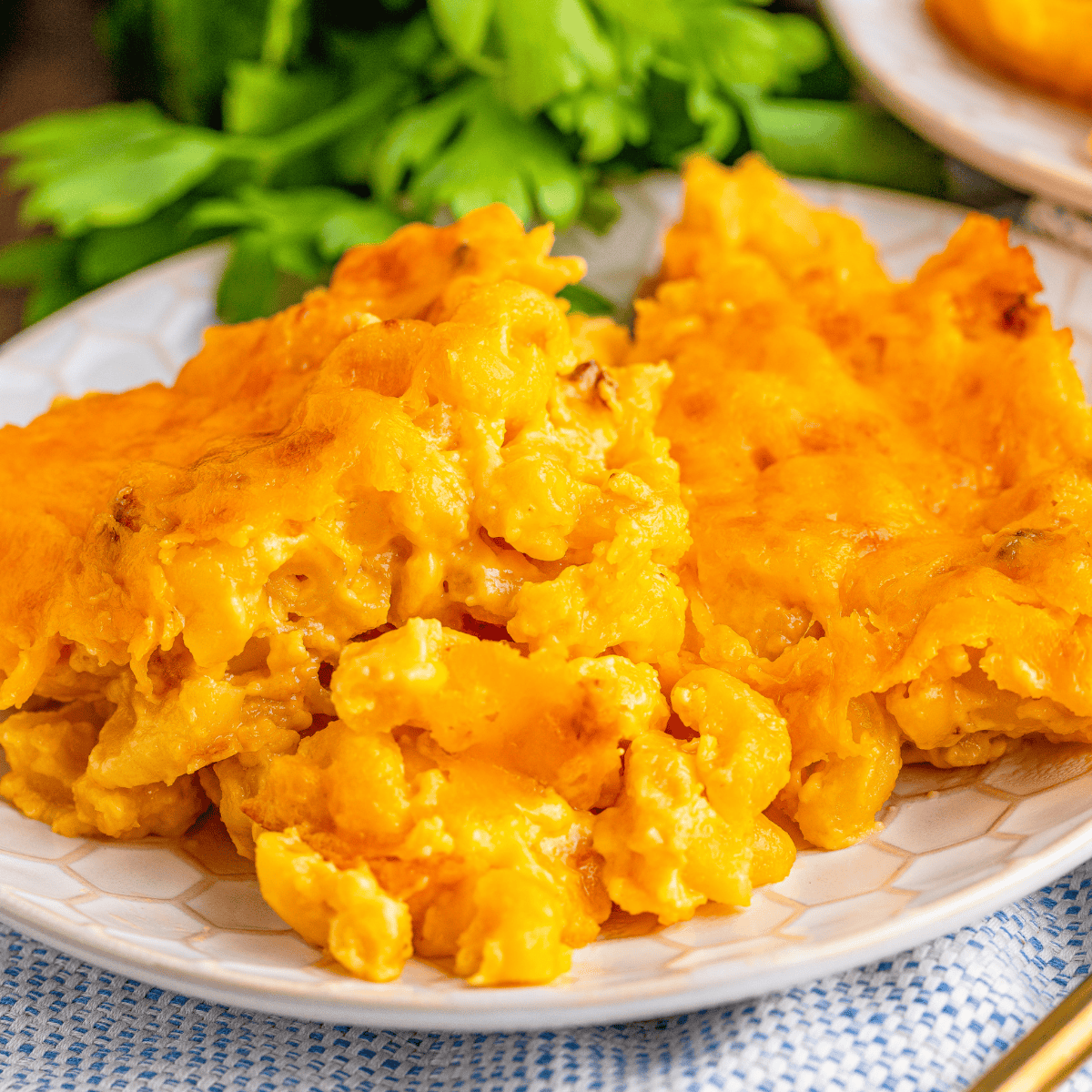 Creamy 3 Cheese Mac and Cheese - Fork To Spoon