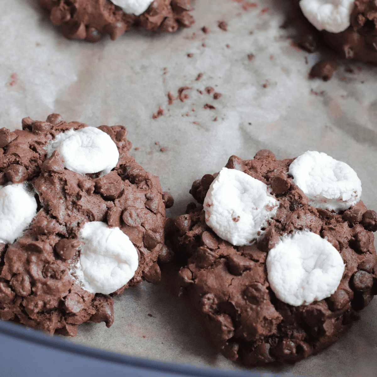 Air Fryer Caramel Hot Cocoa Cookies - Fork To Spoon