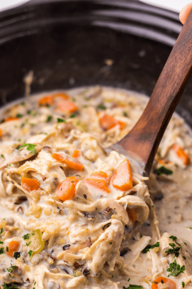 Slow Cooker Chicken and Wild Rice Soup (Easy & Creamy) - Fork To Spoon